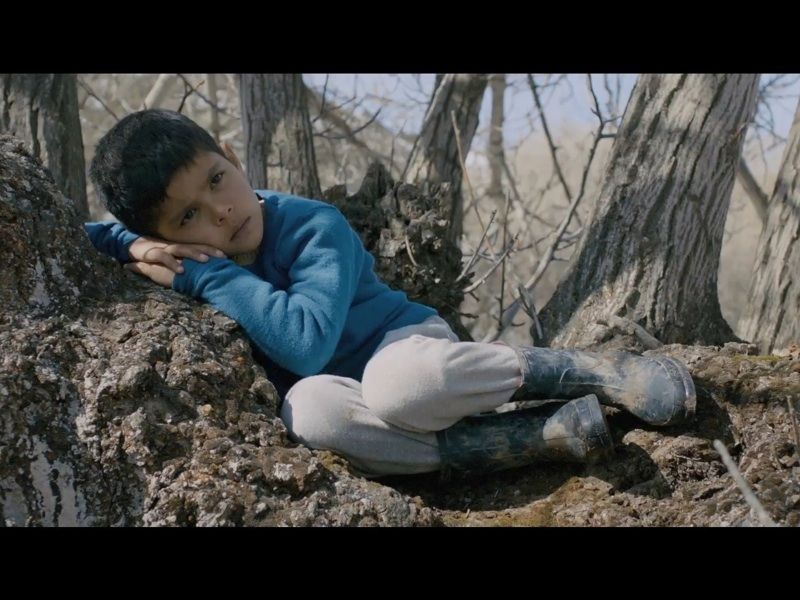 Foto de la película Kuzu - Foto 4 por un total de 15 - SensaCine.com