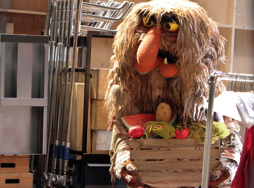 The Muppets : The Muppets : Foto - Foto 62 sobre 71 - SensaCine.com