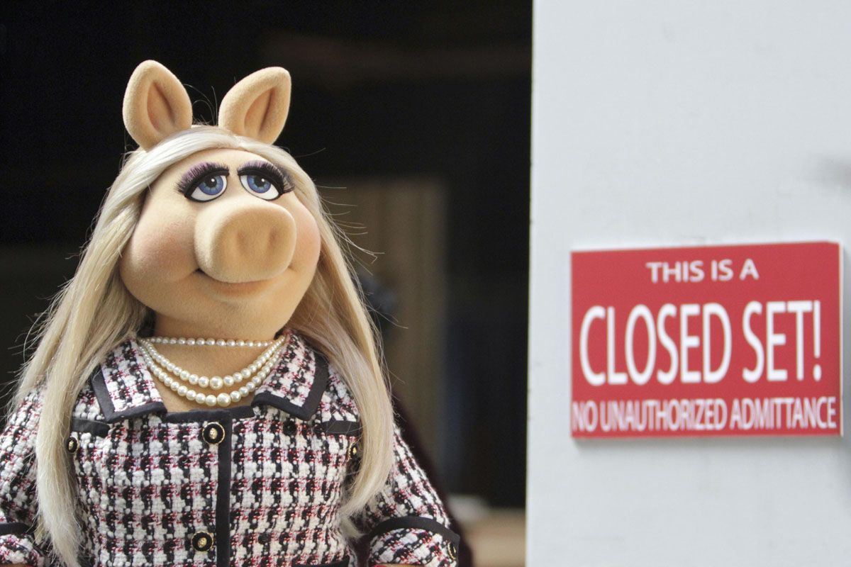 The Muppets : The Muppets : Foto - Foto 60 sobre 71 - SensaCine.com