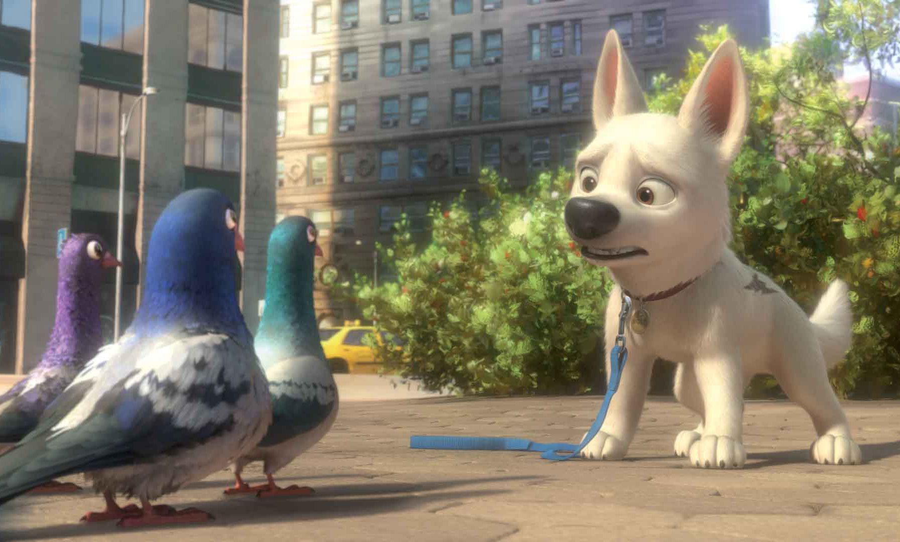 Foto de la película Bolt - Foto 2 por un total de 26 - SensaCine.com