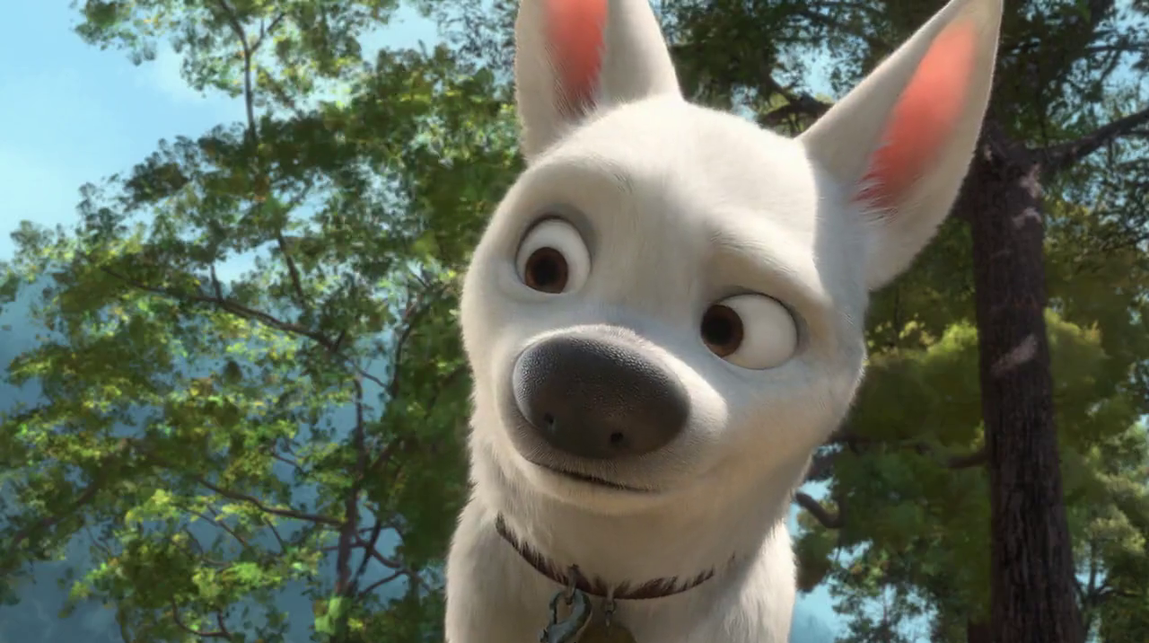 Foto de la película Bolt - Foto 4 por un total de 26 - SensaCine.com