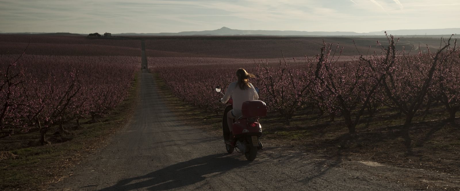 Foto de la película Segundo origen - Foto 32 por un total de 46 ...