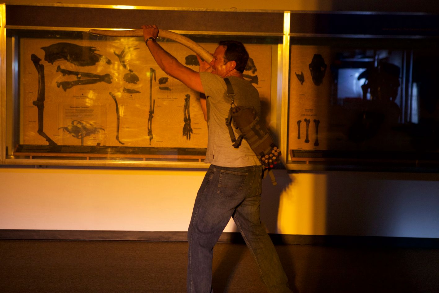 Foto de la película Lavalantula - Foto 9 por un total de 13 - SensaCine.com