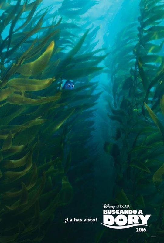 Cartel de la película Buscando a Dory - Foto 23 por un total de 36 ...