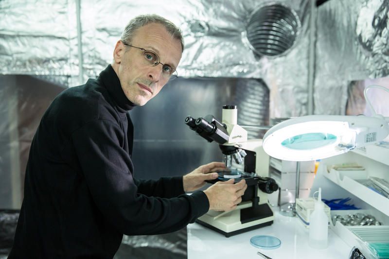 Foto de Stephen Dillane - Foto Stephen Dillane - Foto 11 de 52 ...