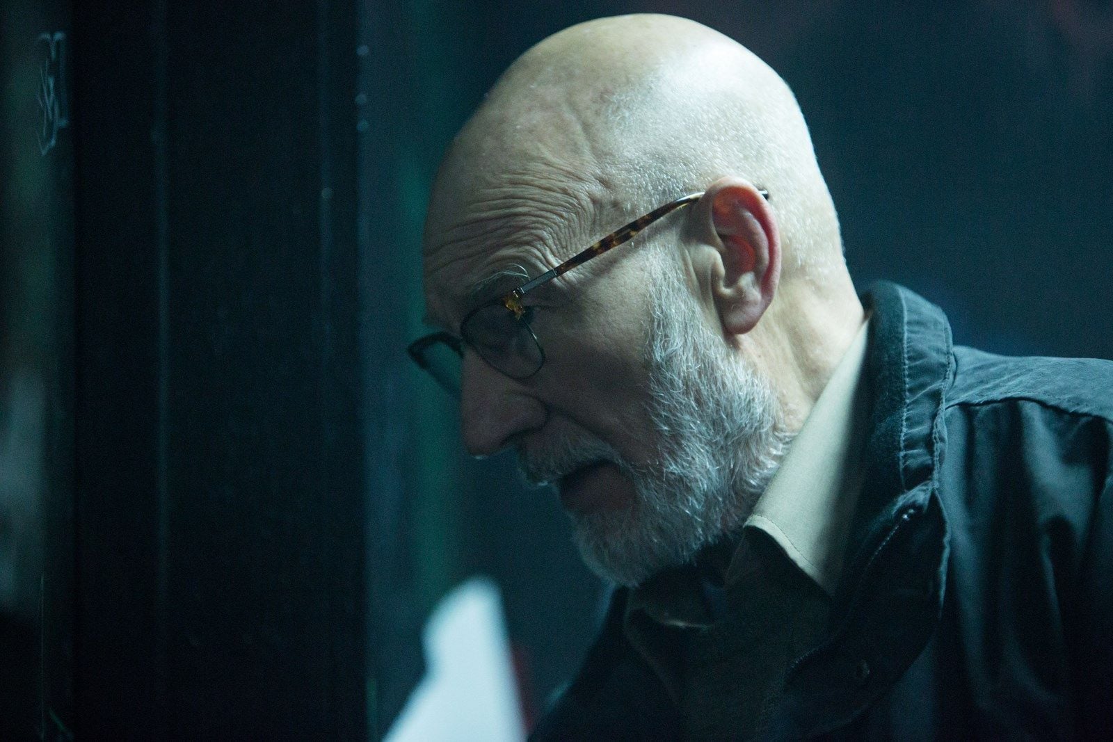 Foto de Patrick Stewart - Green Room : Foto Patrick Stewart - Foto 61 ...