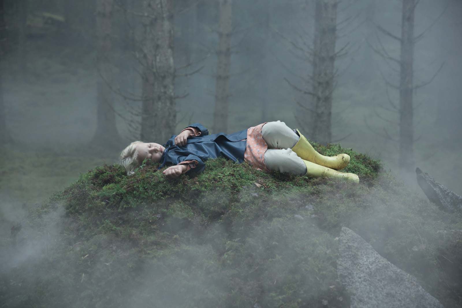 Jordskött : Jordskött : Foto Sigrid Johnson - Foto 16 sobre 35 ...