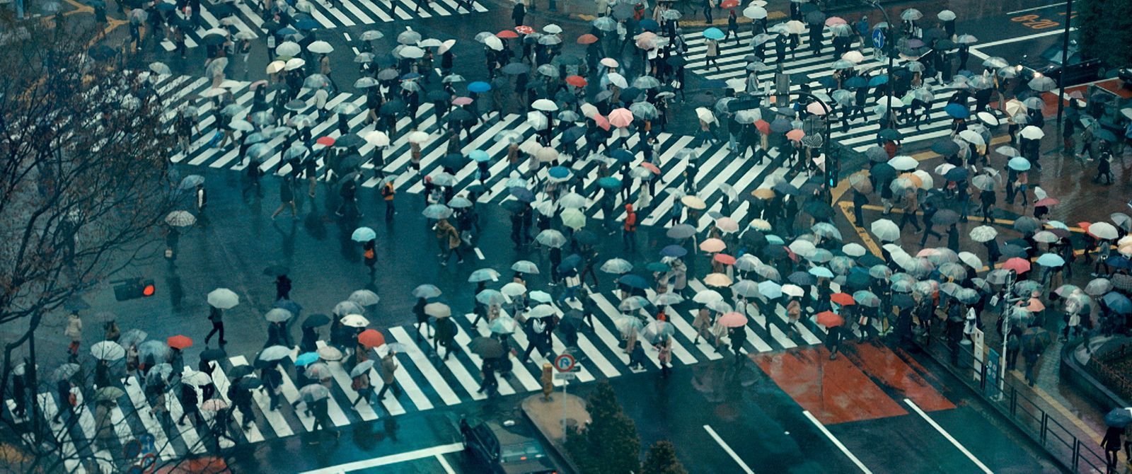 Foto de la película Frágil equilibrio - Foto 8 por un total de 10 ...