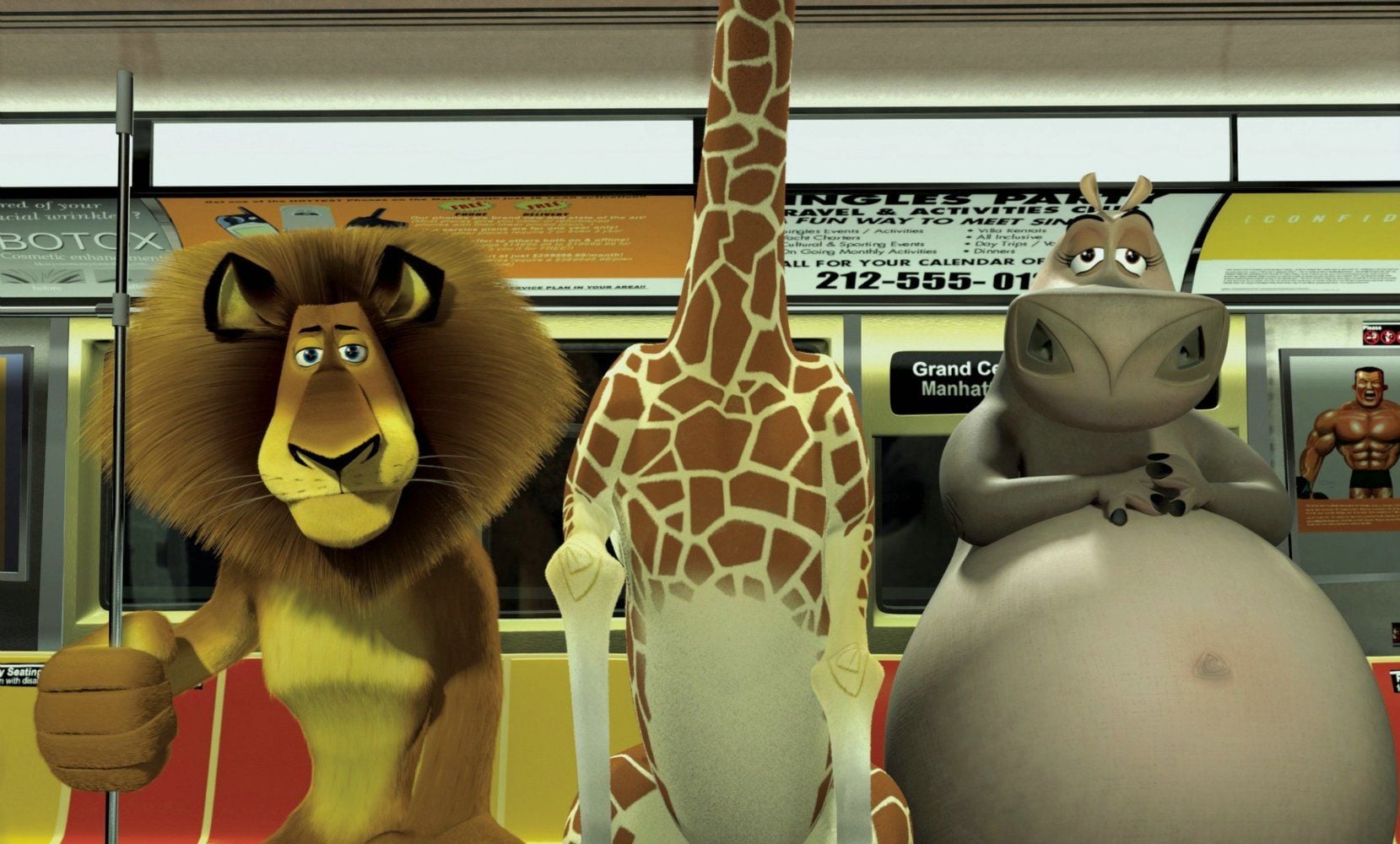 Foto de la película Madagascar - Foto 33 por un total de 52 - SensaCine.com