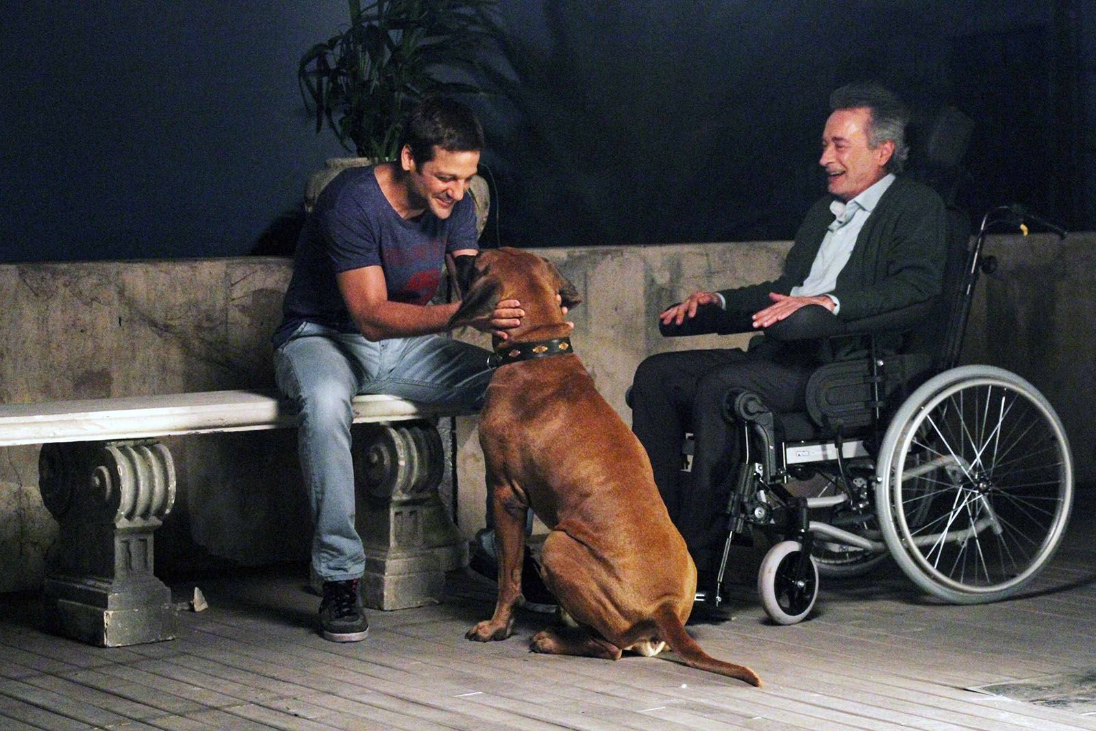 Foto de la película Inseparables - Foto 6 por un total de 12 ...