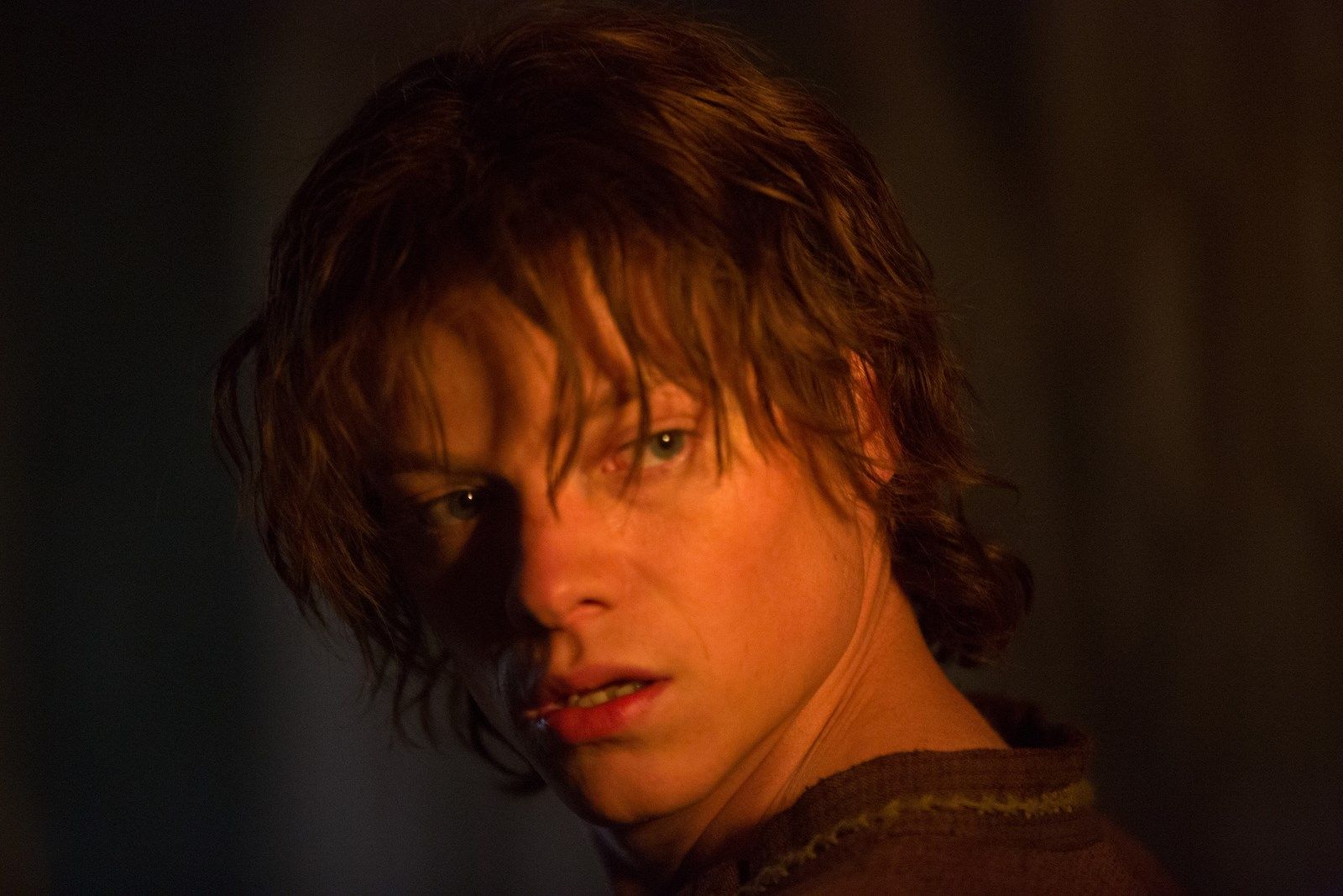 Foto de la película Dragonheart 4: Corazón de fuego - Foto 14 por un ...