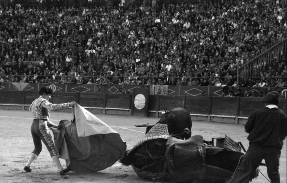 Foto de la película El torero - Foto 2 por un total de 5 - SensaCine.com