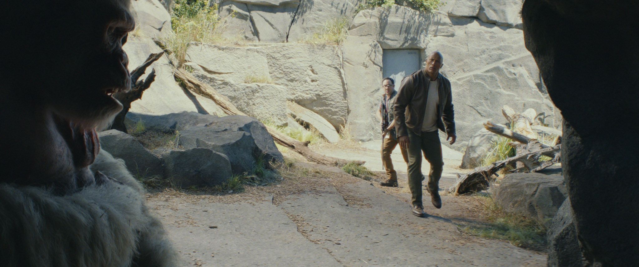 Foto de la película Proyecto Rampage - Foto 26 por un total de 39 ...