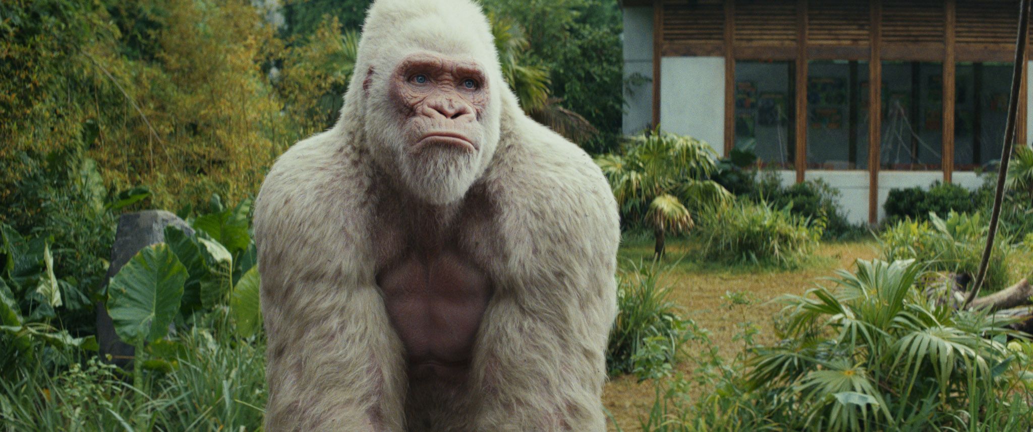 Foto de la película Proyecto Rampage - Foto 25 por un total de 39 ...