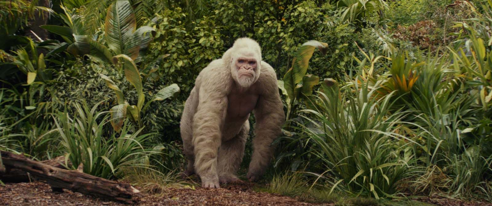 Foto de la película Proyecto Rampage - Foto 14 por un total de 39 ...