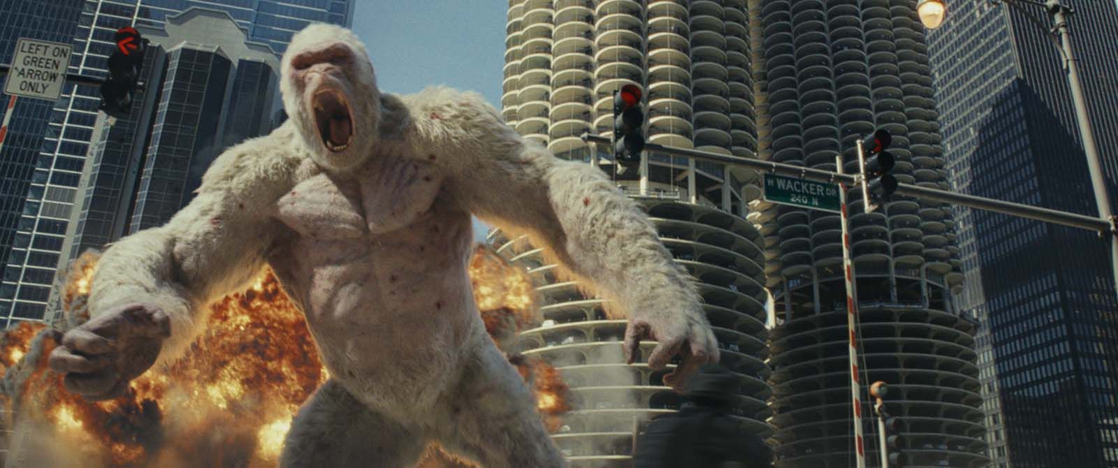 Foto de la película Proyecto Rampage - Foto 12 por un total de 39 ...