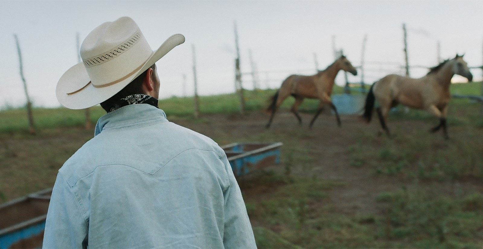 Foto de la película The Rider - Foto 4 por un total de 17 - SensaCine.com