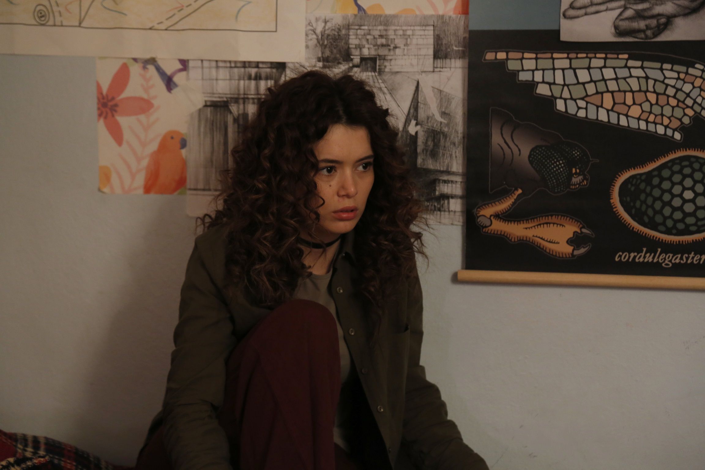 Mujer (Kadin) : Mujer (Kadin) : Foto - Foto 235 sobre 440 - SensaCine.com