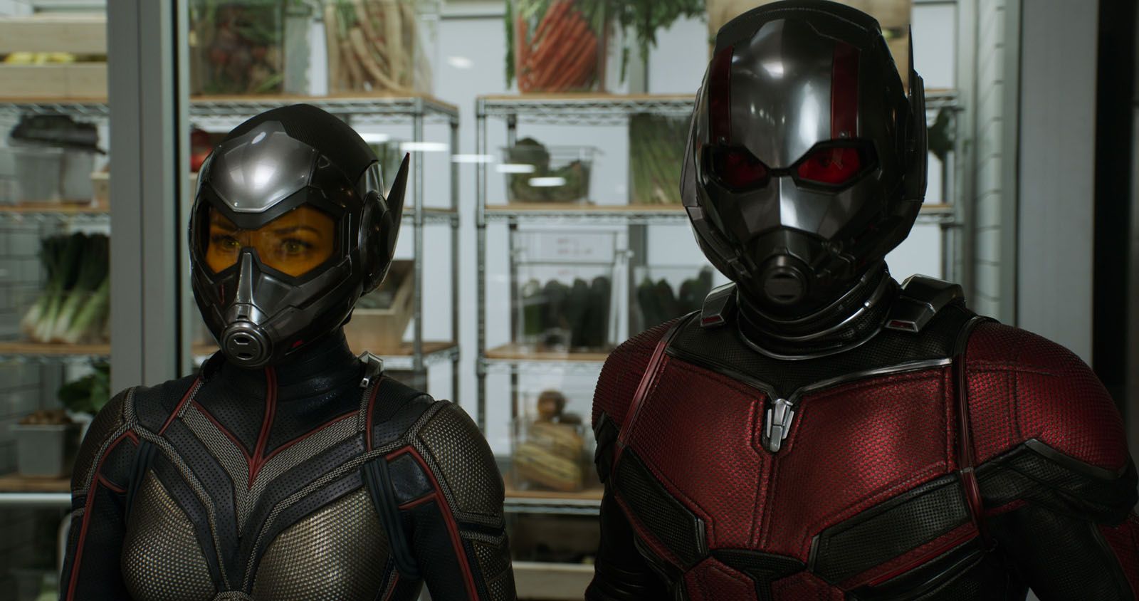 Foto de la película Ant-Man y la Avispa - Foto 13 por un total de 61 - SensaCine.com