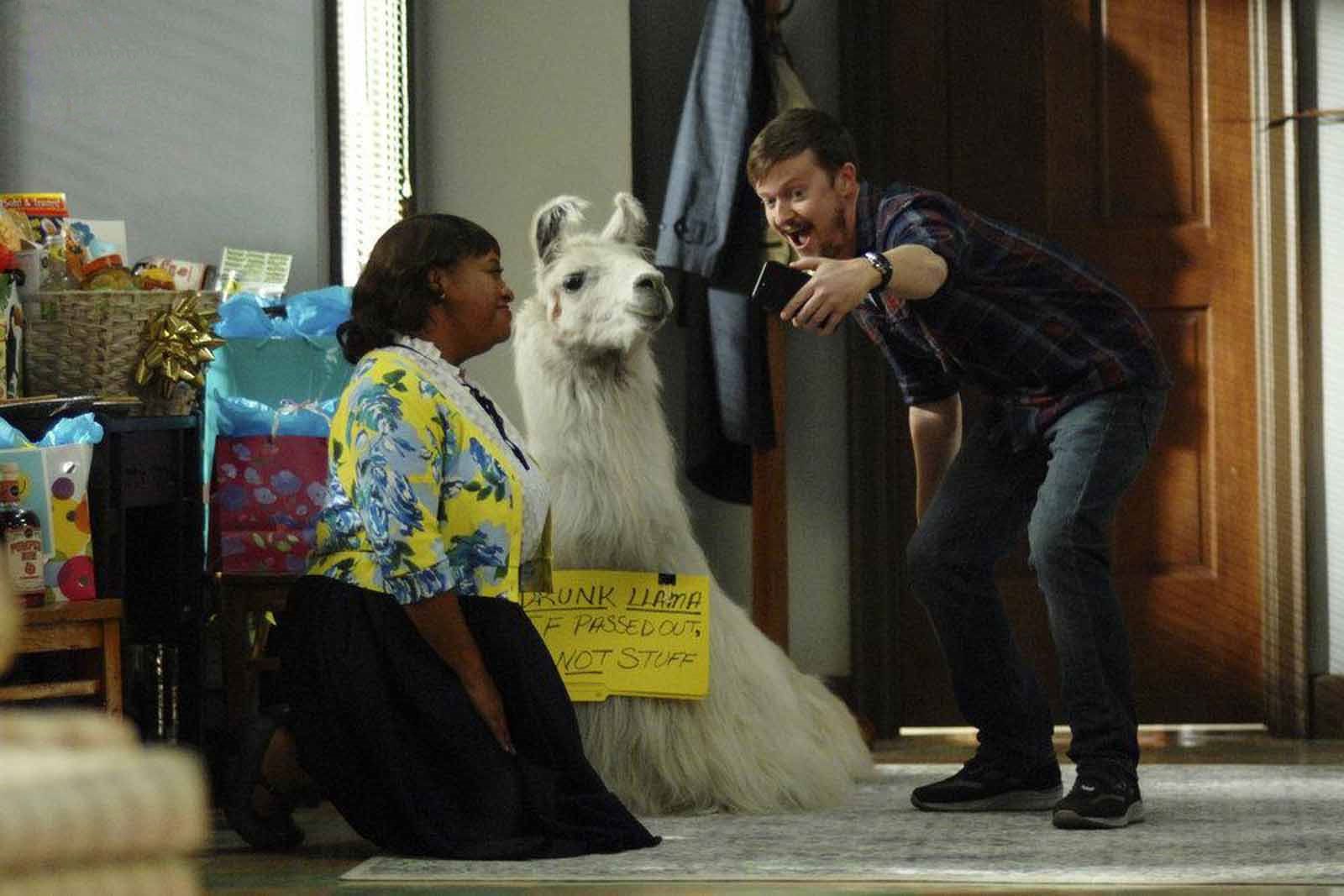 Foto de Steven Boyer - Trial & Error : Foto Sherri Shepherd, Steven ...