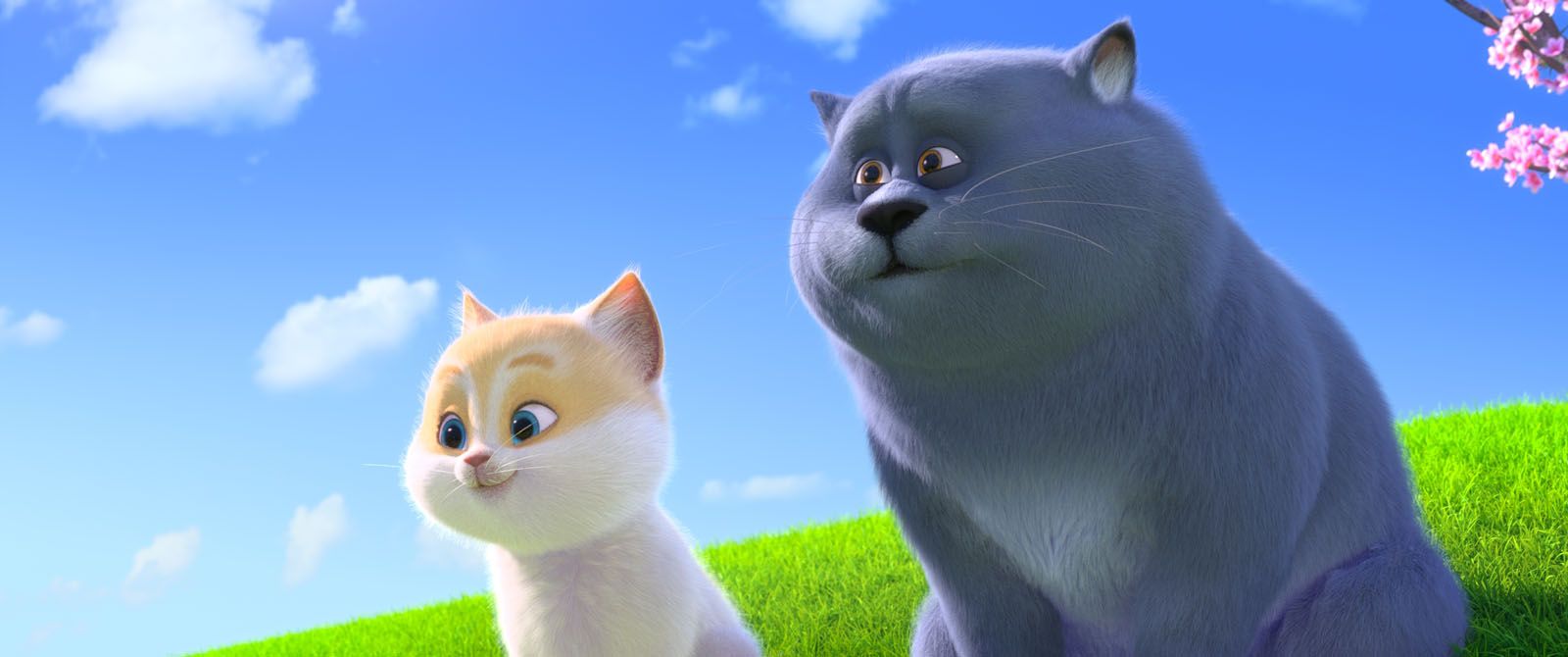 Foto de la película Gatos - Foto 7 por un total de 21 - SensaCine.com