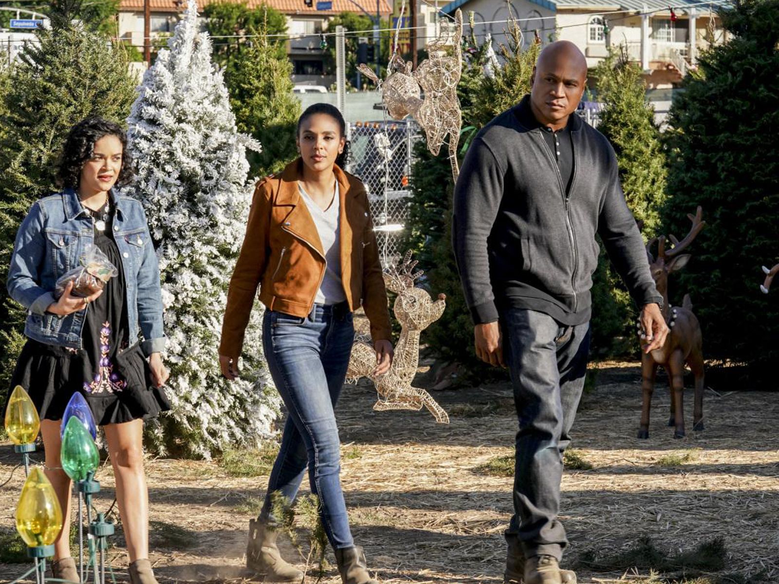 Foto de Marsha Thomason - NCIS: Los Ángeles : Foto LL Cool J, Marsha ...