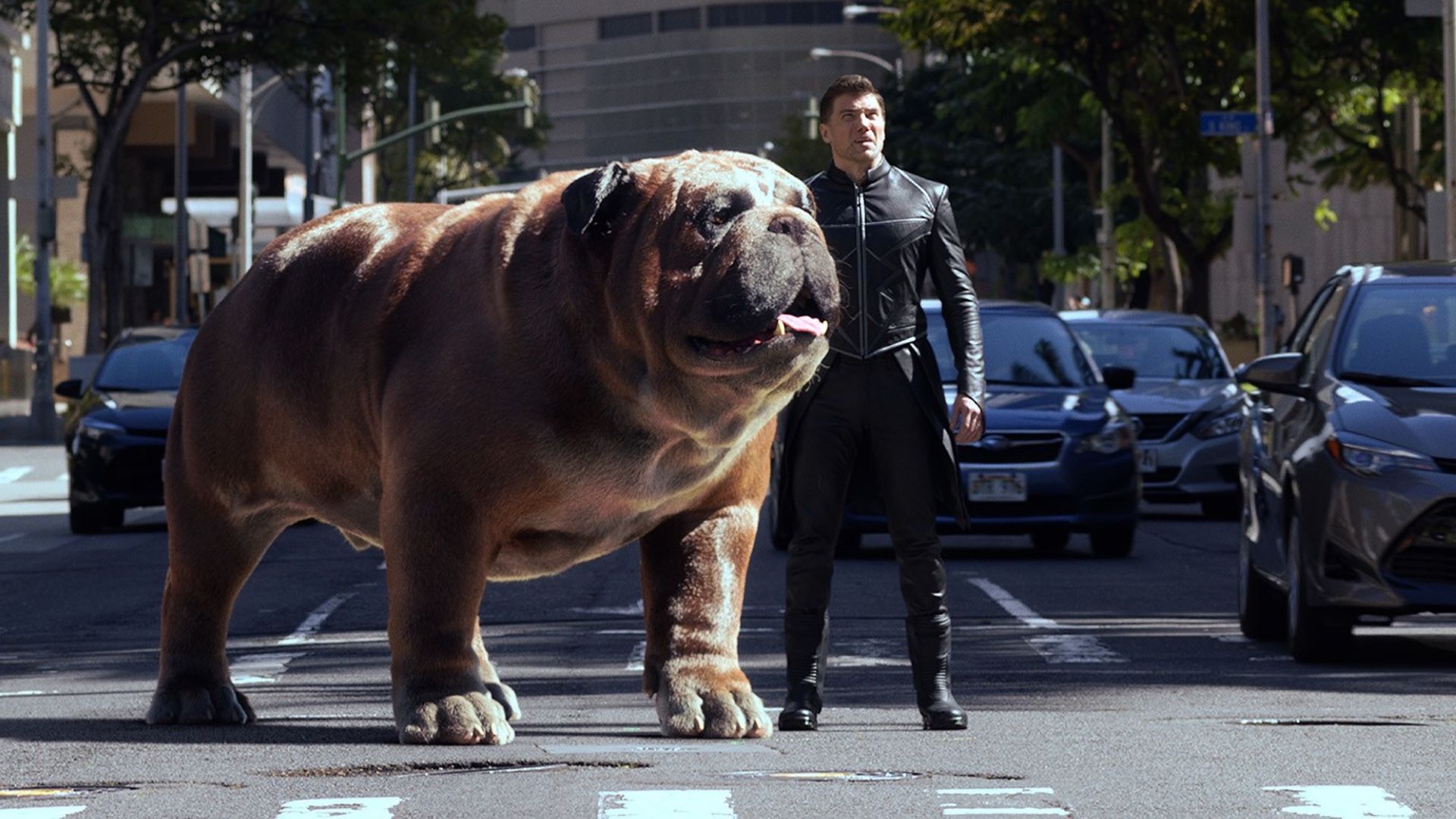 Marvel's Inhumans : Marvel's Inhumans : Foto - Foto 9 sobre 59 ...