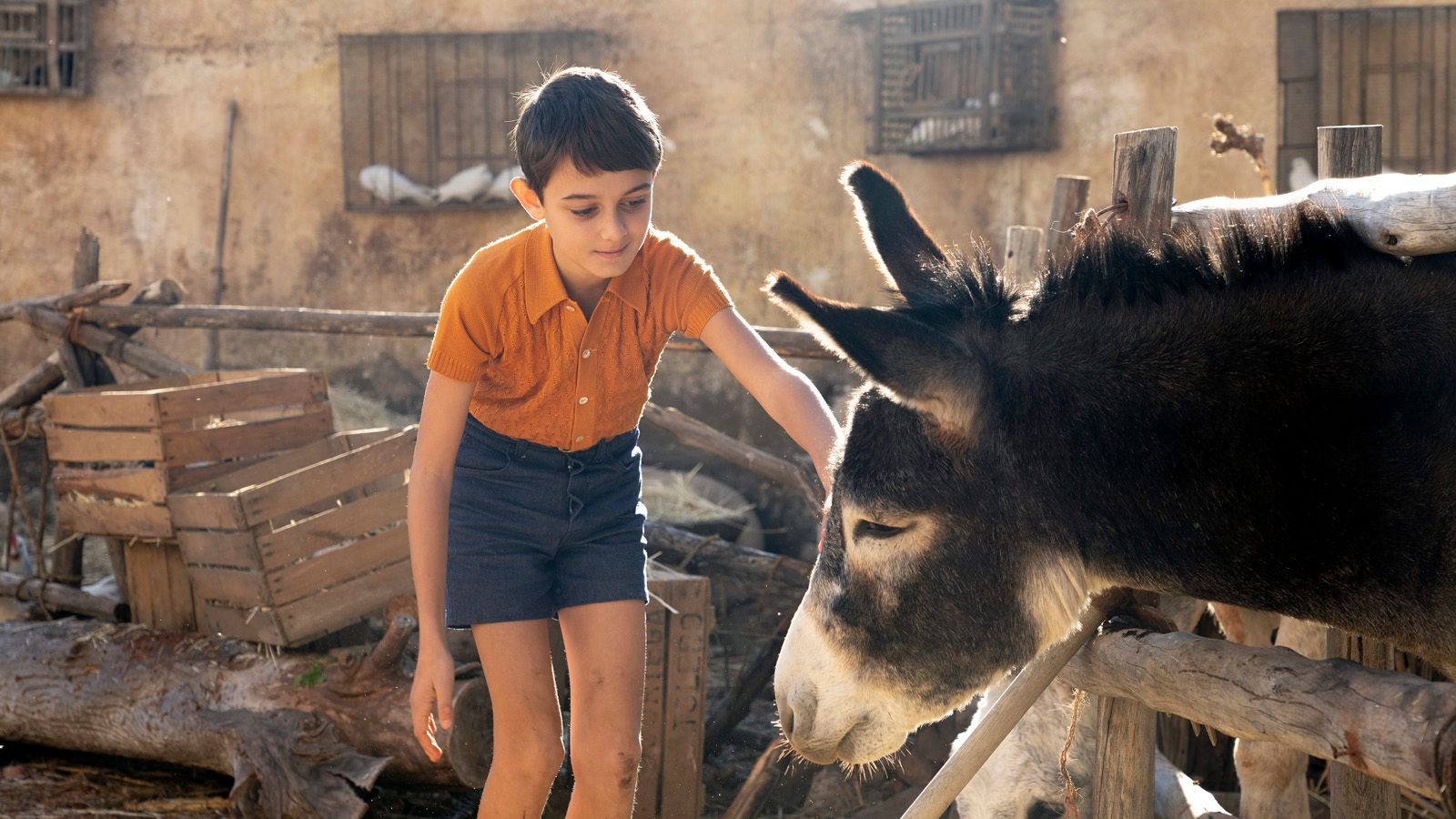 Foto de Guille Márquez - Veneno : Foto Guille Márquez - Foto 0 de 10 ...