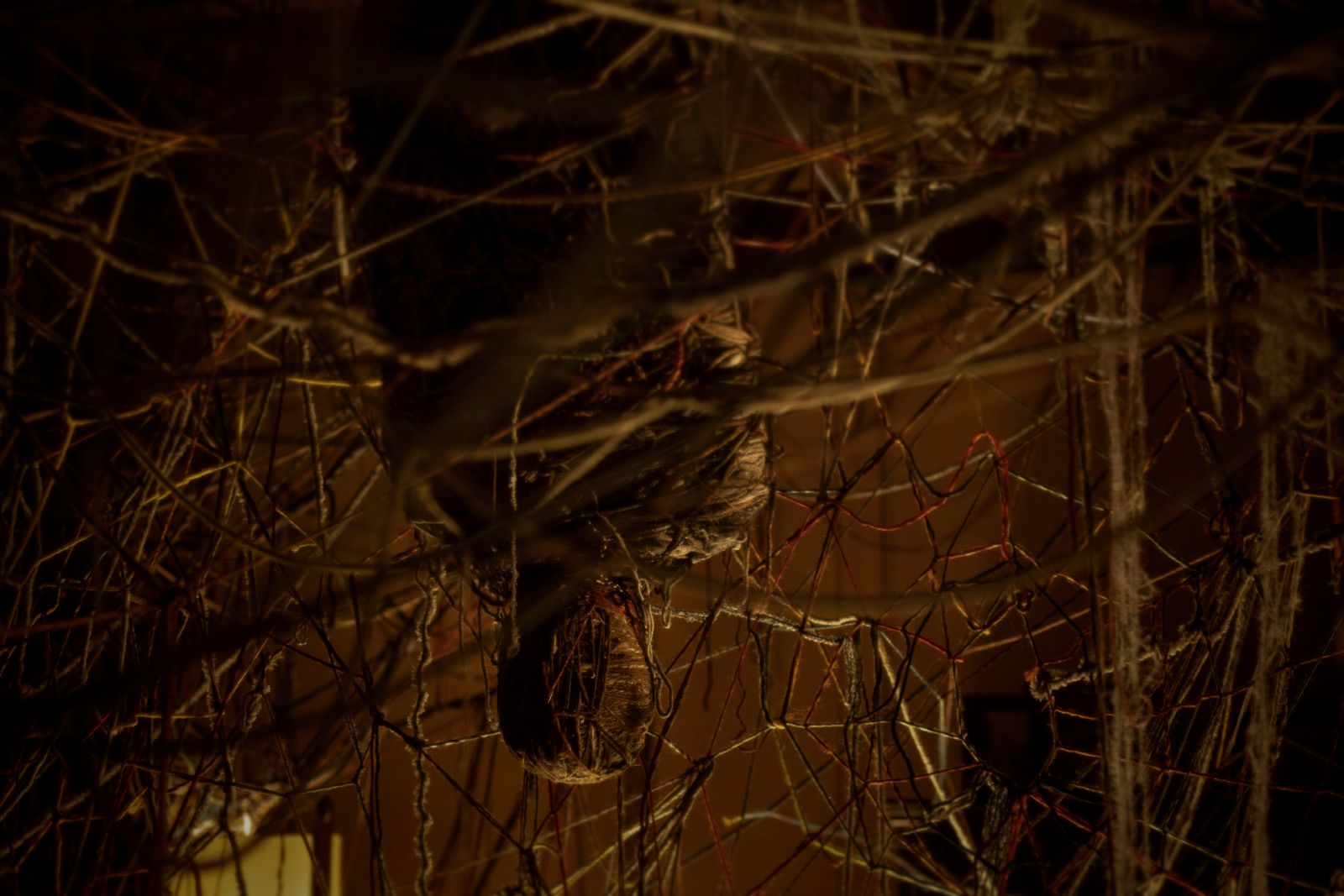 30 monedas : 30 monedas : Foto - Foto 102 sobre 121 - SensaCine.com