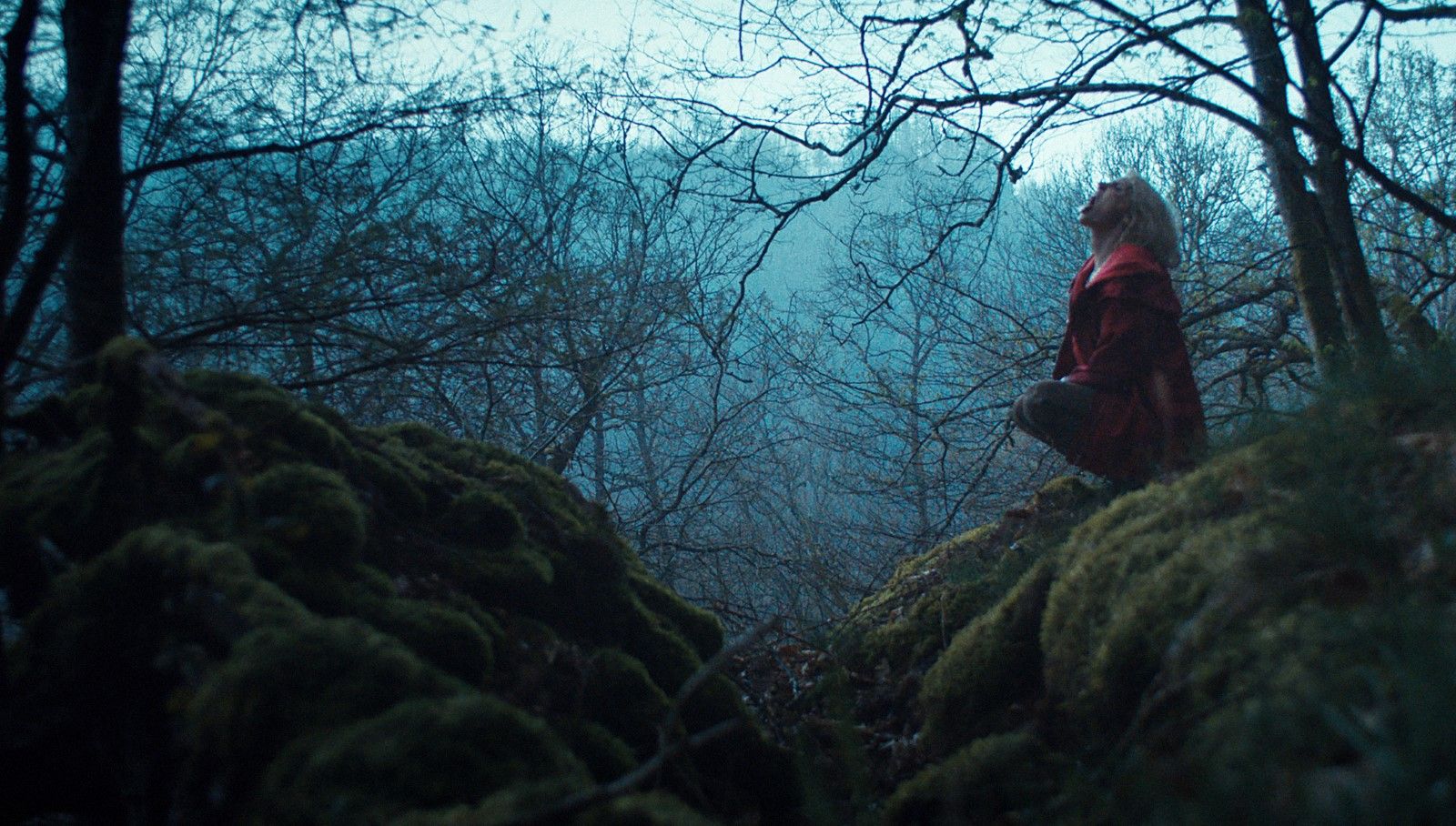 Foto de la película Hunted - Foto 13 por un total de 16 - SensaCine.com