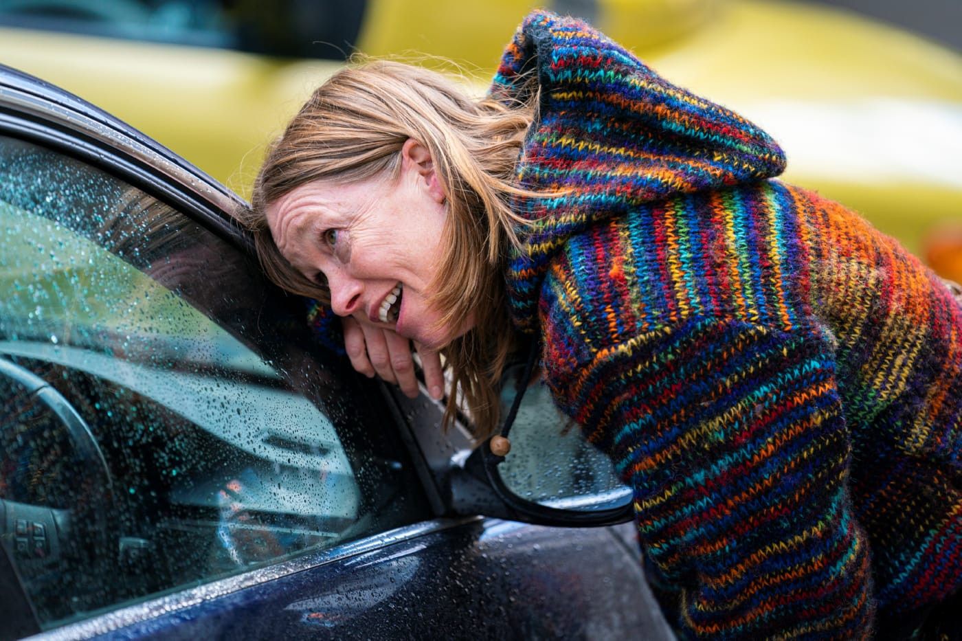 Foto de Robin Weaver - Ragdoll : Foto Robin Weaver - Foto 0 de 3 ...