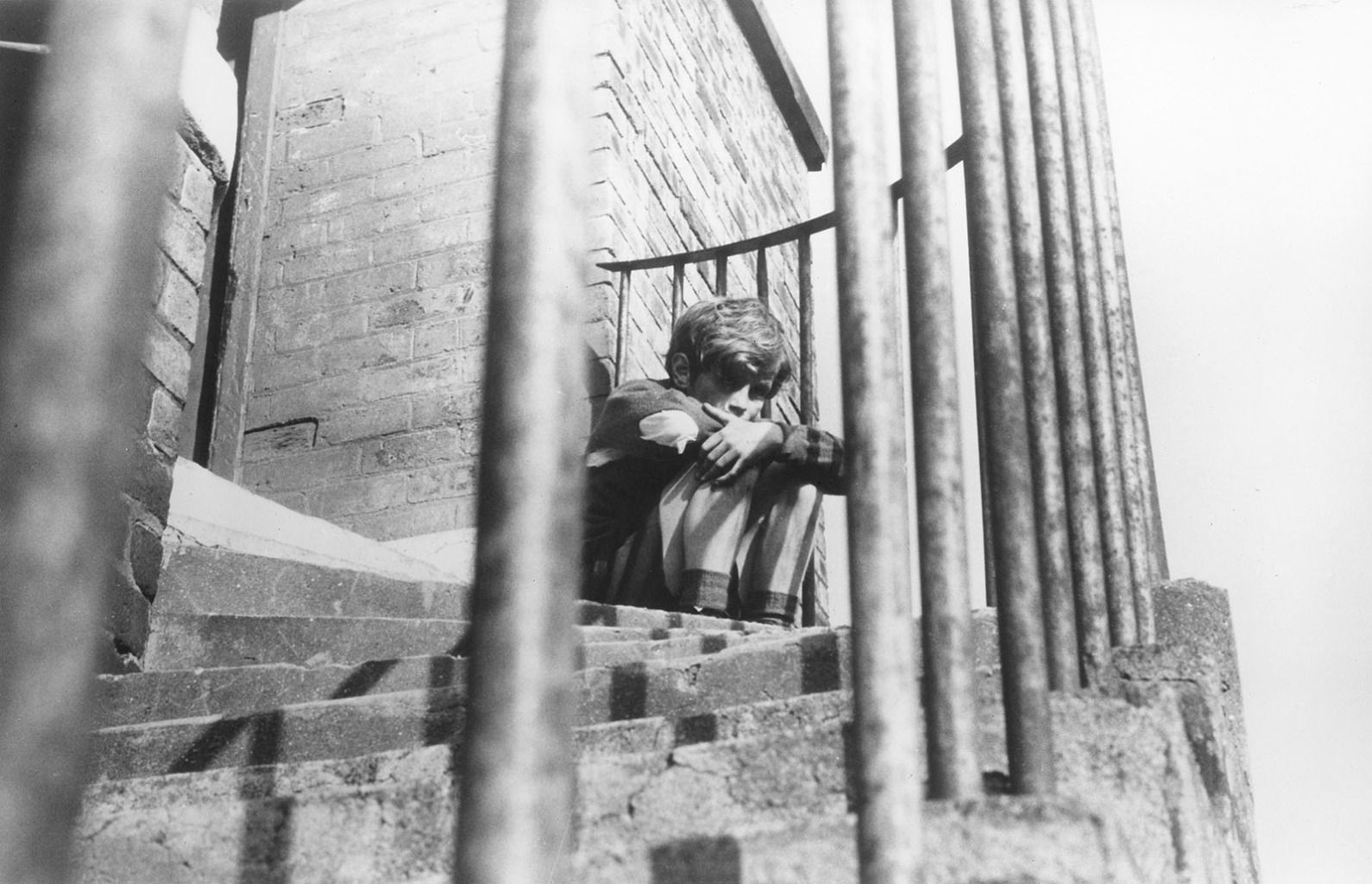 Foto de Stephen Archibald - Foto Stephen Archibald - Foto 4 de 7 ...