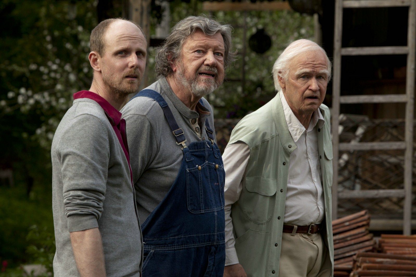 Foto de Robert Gustafsson - El abuelo que saltó por la ventana y se ...