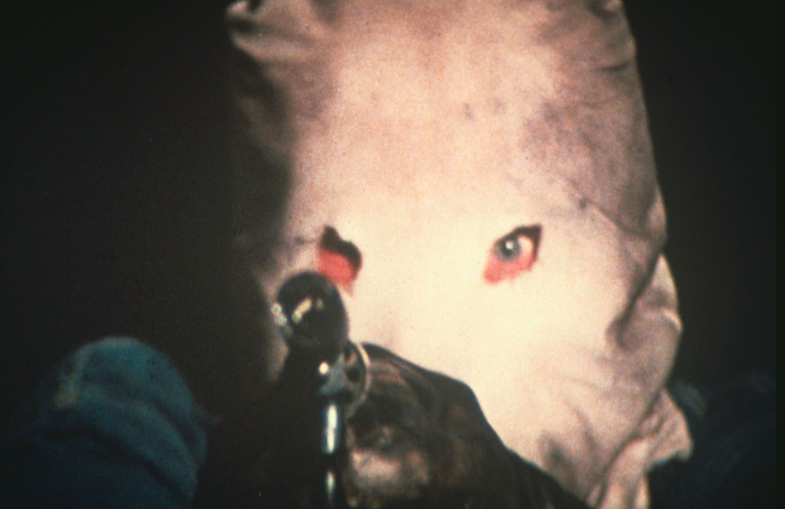 Foto de Bud Davis - Foto Bud Davis - SensaCine.com