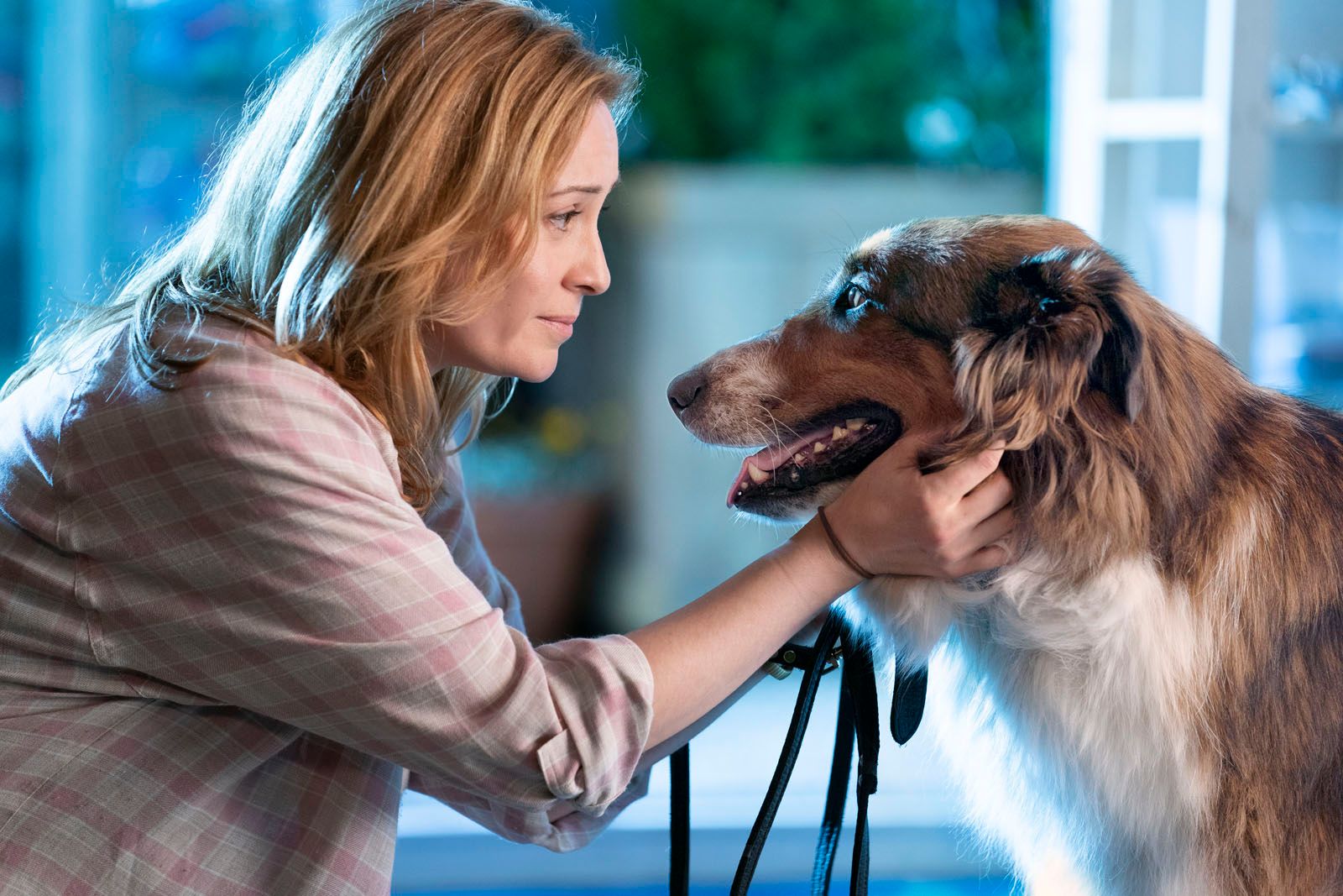 Foto de la película El rescate de Ruby - Foto 9 por un total de 18 ...