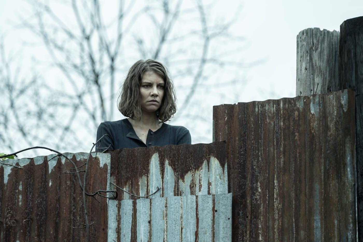 The Walking Dead : The Walking Dead : Foto Lauren Cohan - Foto 9 sobre ...