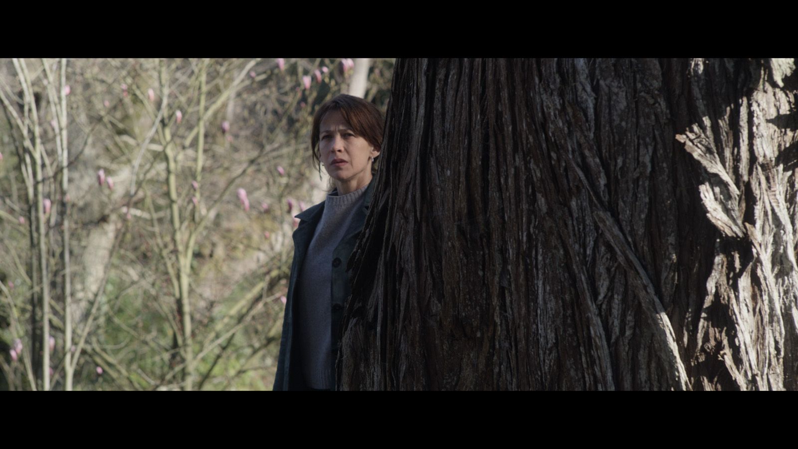 Foto de la película Traición - Foto 2 por un total de 7 - SensaCine.com