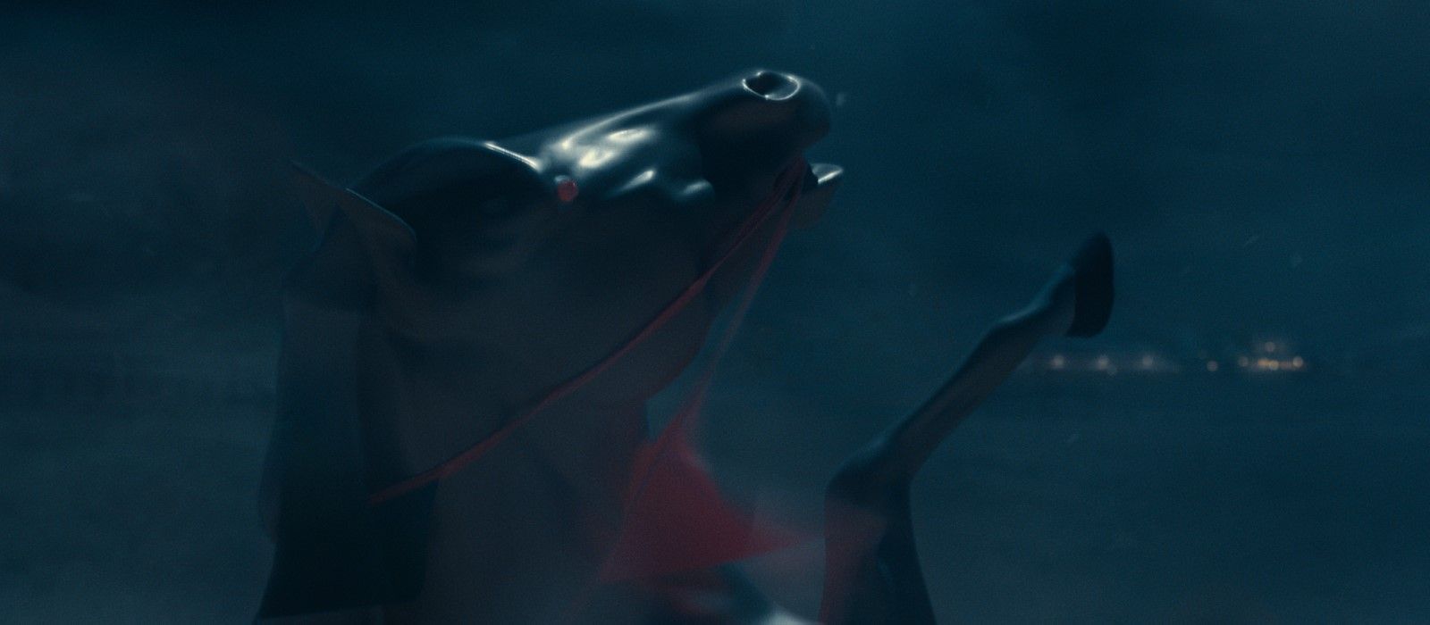 Foto de la película Nop - Foto 1 por un total de 17 - SensaCine.com