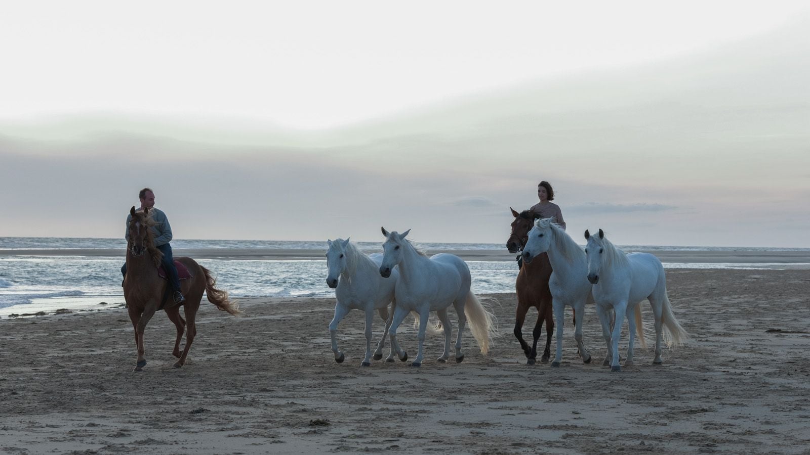 Foto de la película Zoe y Tempestad - Foto 17 por un total de 19 ...