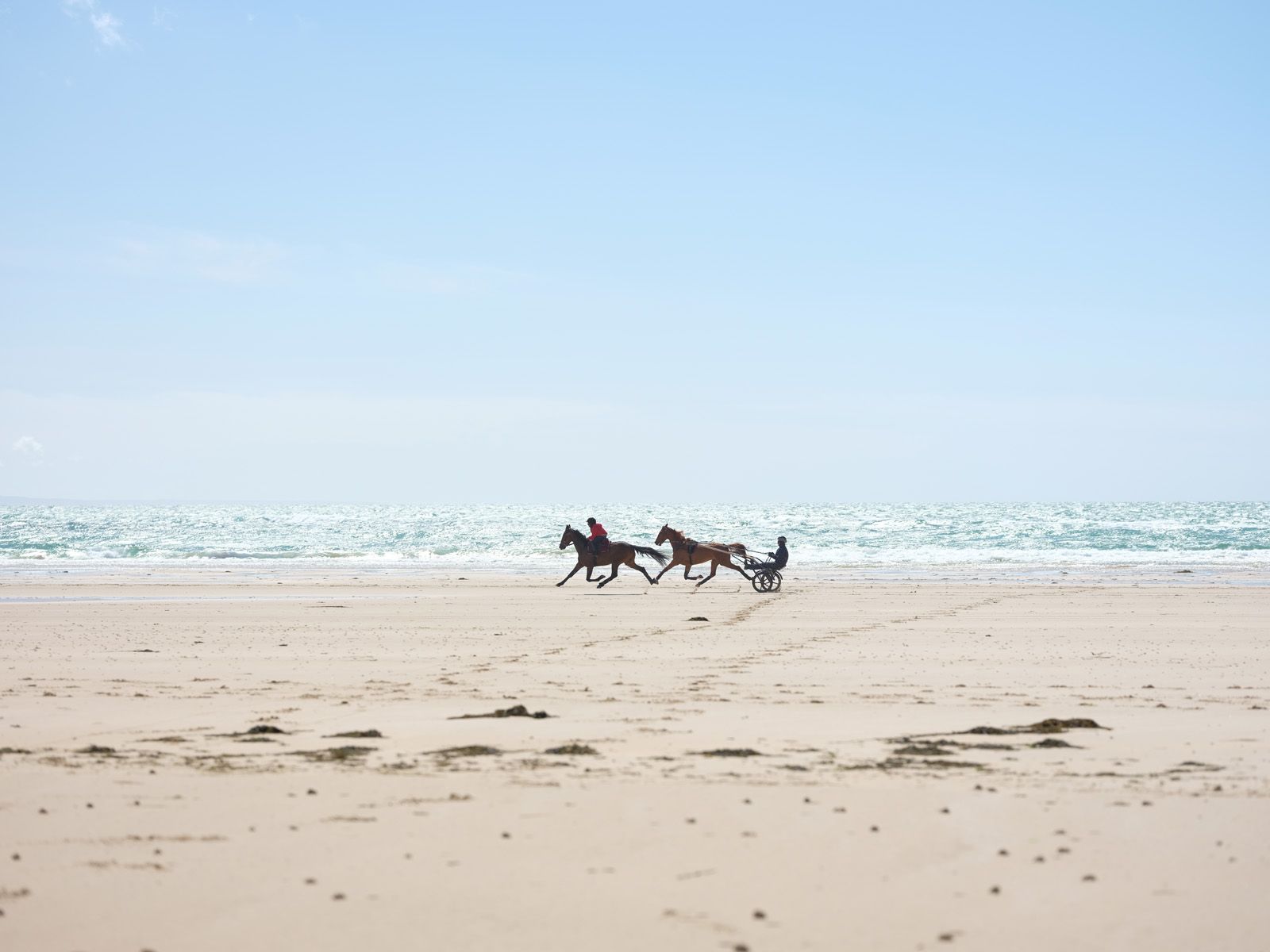 Foto de la película Zoe y Tempestad - Foto 11 por un total de 19 ...