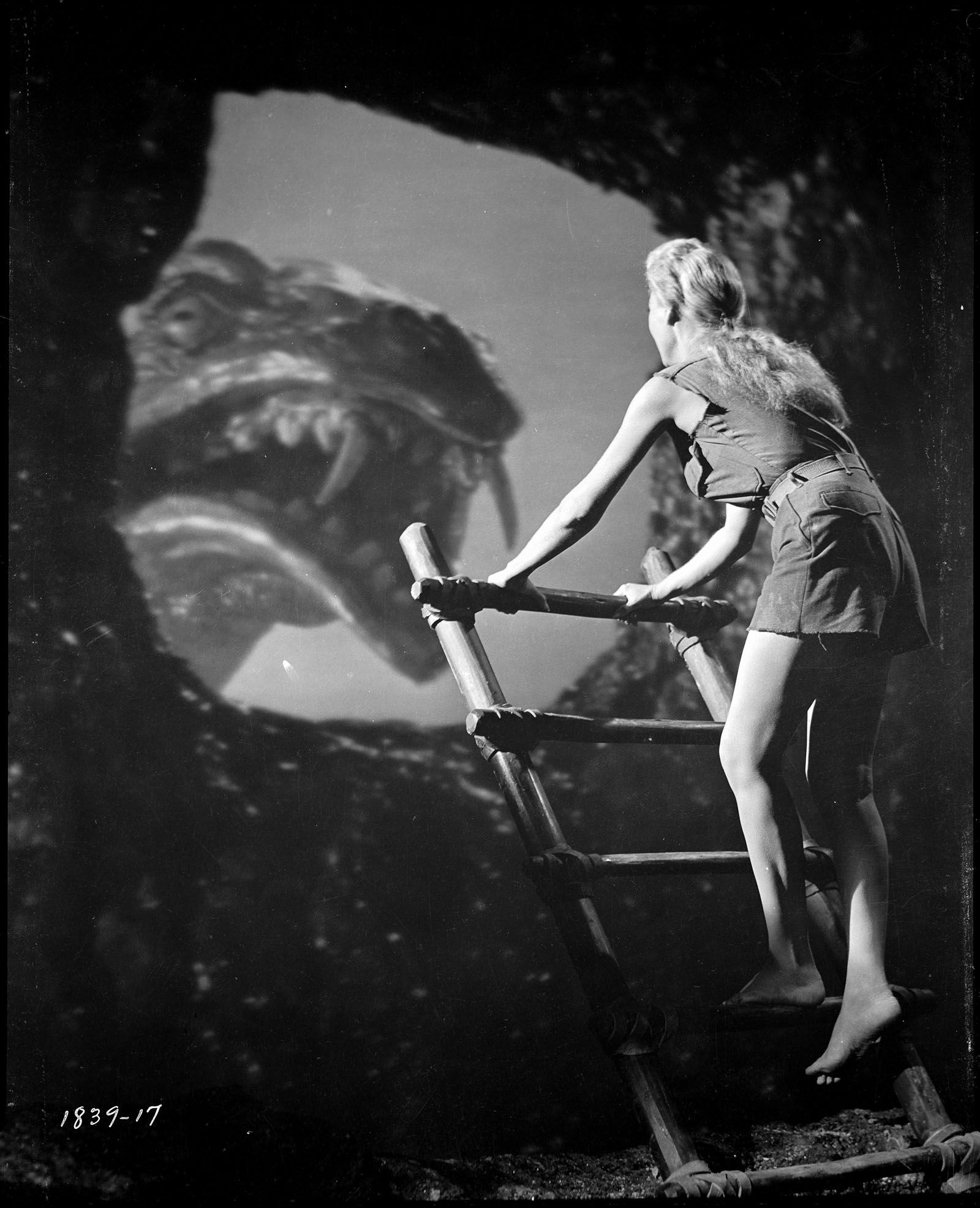 Foto de Shirley Patterson - Foto Shirley Patterson - Foto 2 de 3 ...