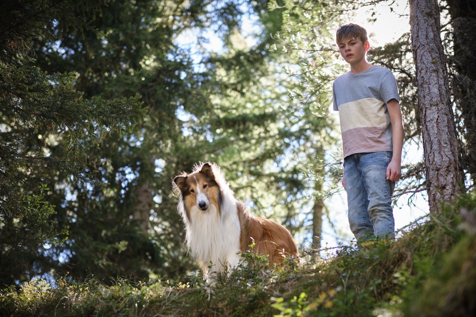 Foto de la película Lassie (Una nueva aventura) - Foto 40 por un total de 49 - SensaCine.com