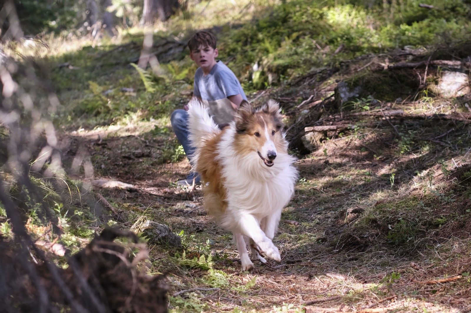 Foto de la película Lassie (Una nueva aventura) - Foto 12 por un total de 49 - SensaCine.com