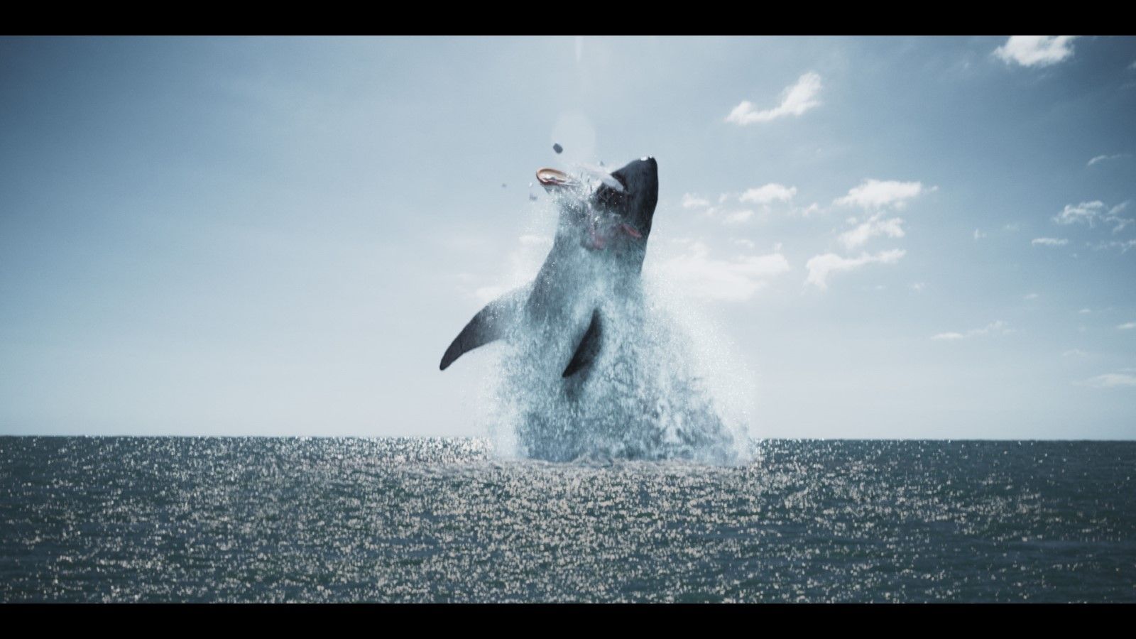 Foto de la película Tiburón negro - Foto 4 por un total de 16 ...