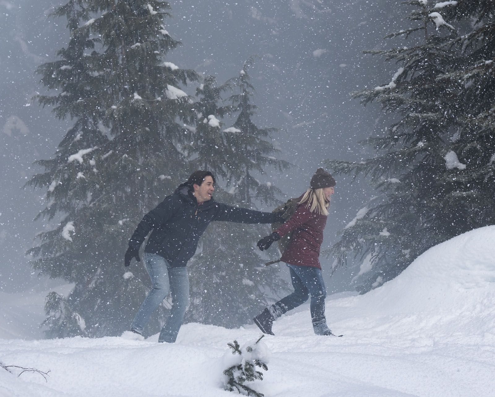 Pesadillas (2023) : Foto Rachael Harris, Justin Long - Foto 5 sobre 12 ...