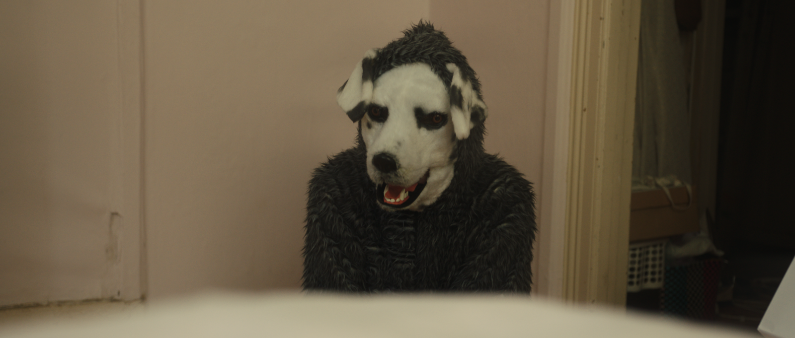 Foto de la película Good Boy - Foto 6 por un total de 8 - SensaCine.com