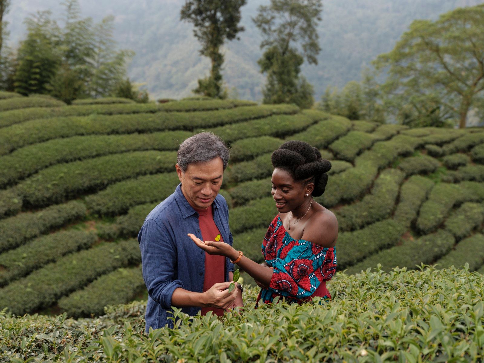 Foto de Han Chang - Té negro : Foto Nina Melo, Han Chang - Foto 0 de 1 ...