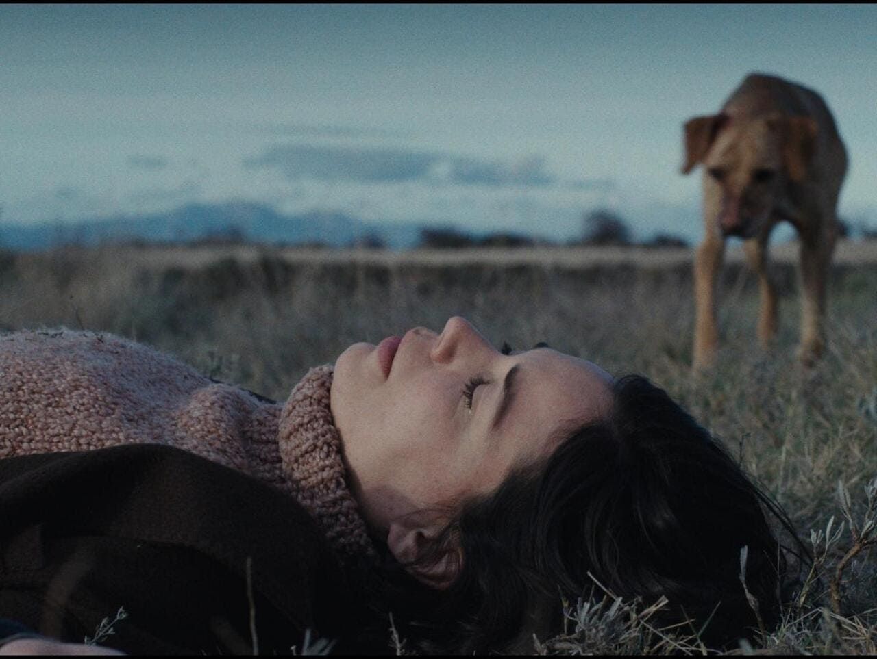 Foto de la película Un amor - Foto 4 por un total de 7 - SensaCine.com