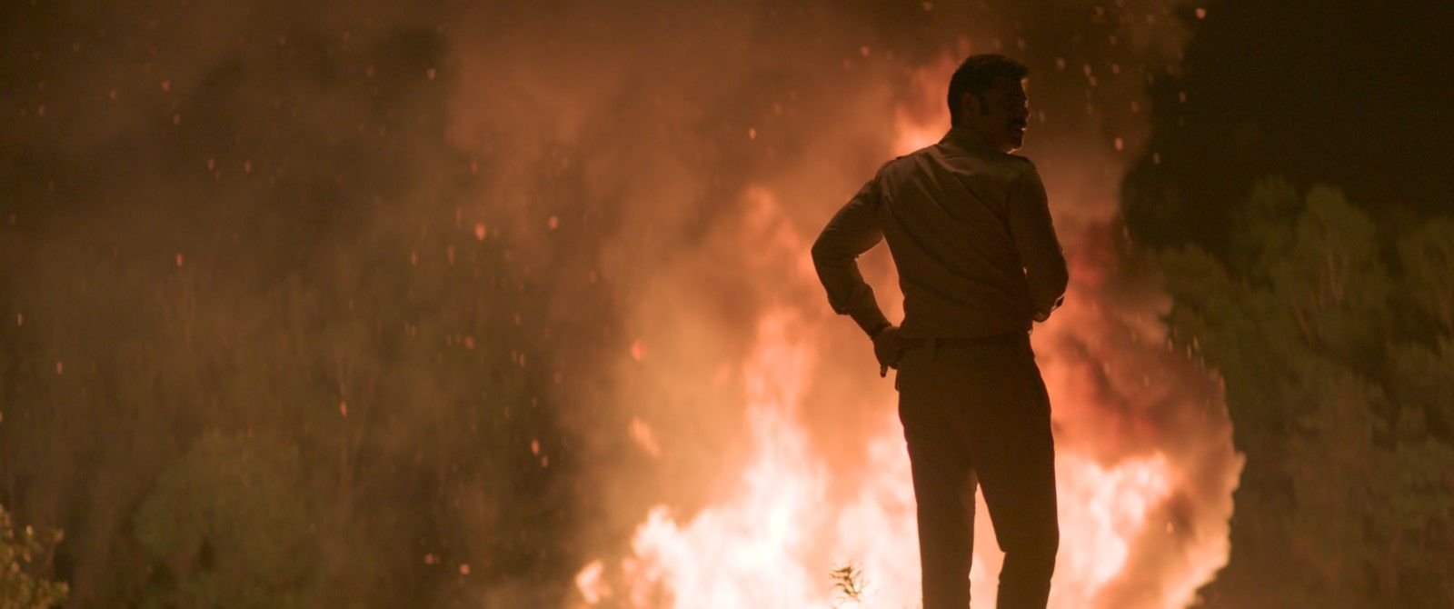 Foto de la película Monkey Man - Foto 14 por un total de 23 - SensaCine.com