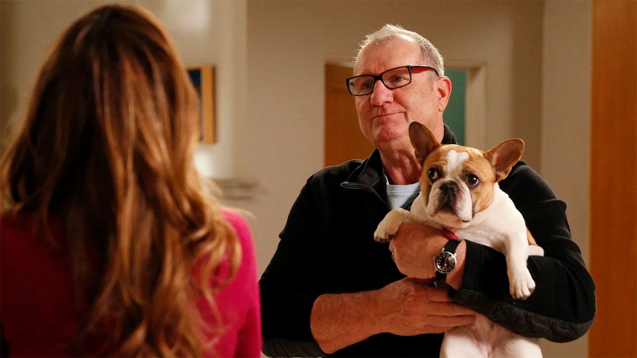 Qué Le Pasó A La Perra Stella En Modern Family